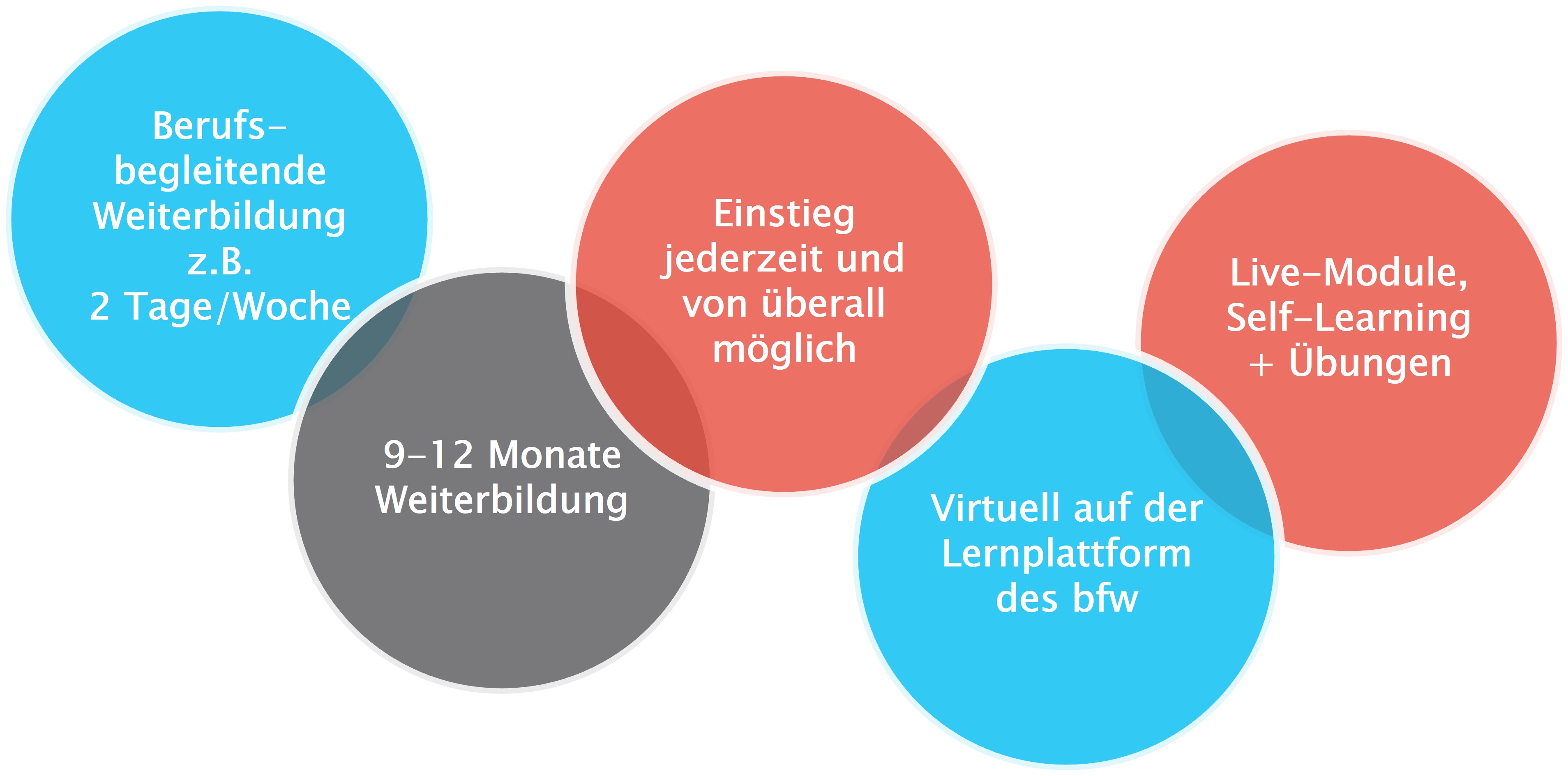 Quereinstieg Rechtswesen | DIRO AG